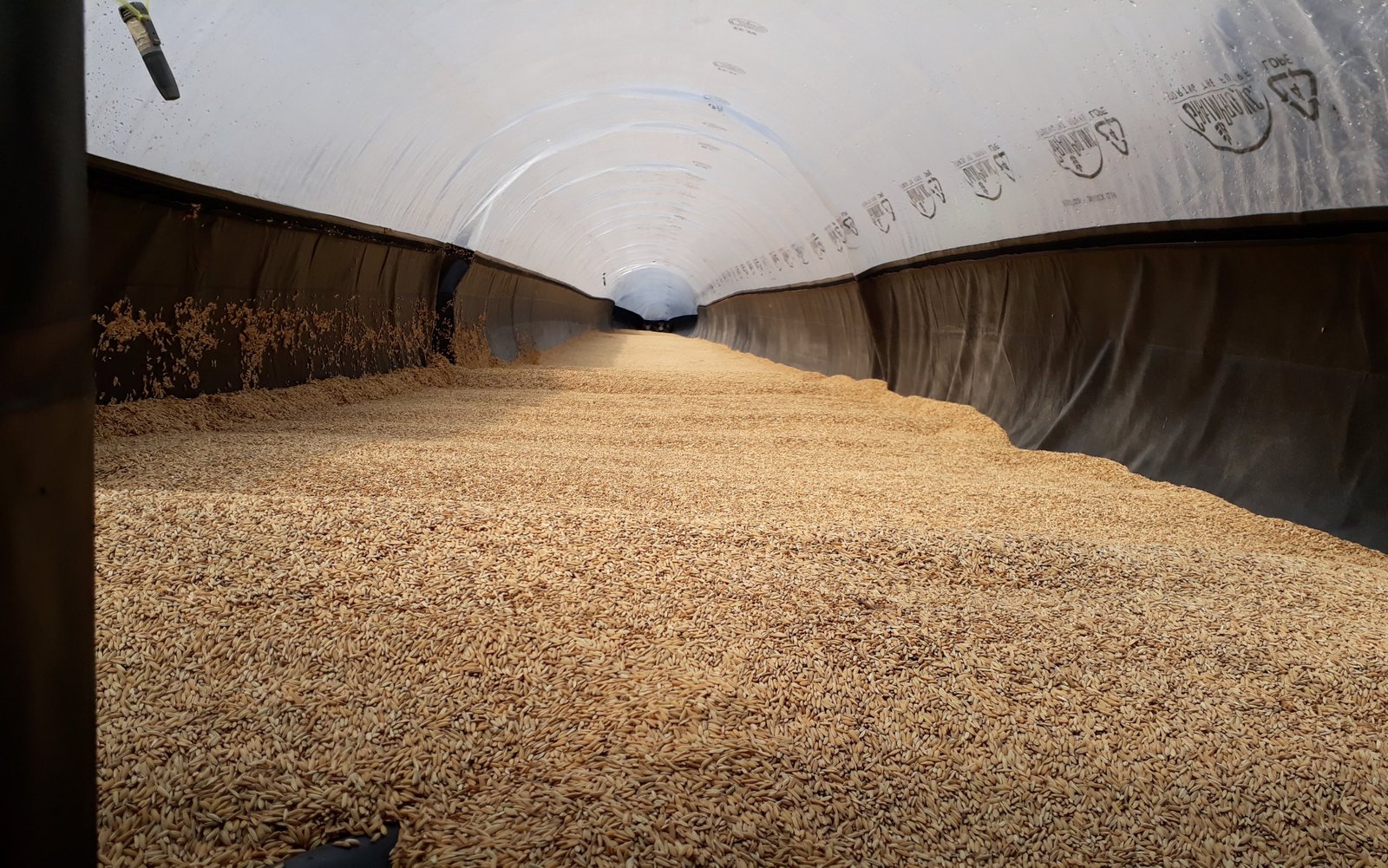 How to Use Sustainable Climate-Smart Drying Solutions