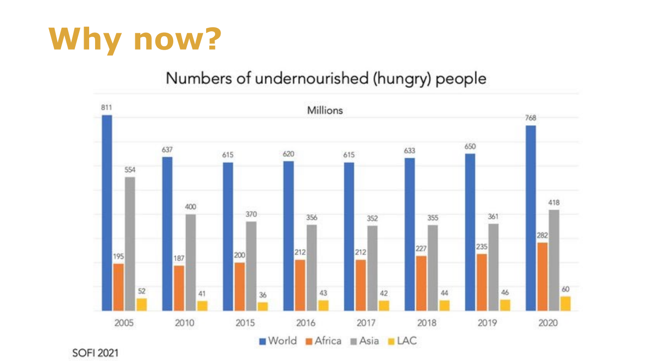 Combating Global Food Insecurity Amid Adversities