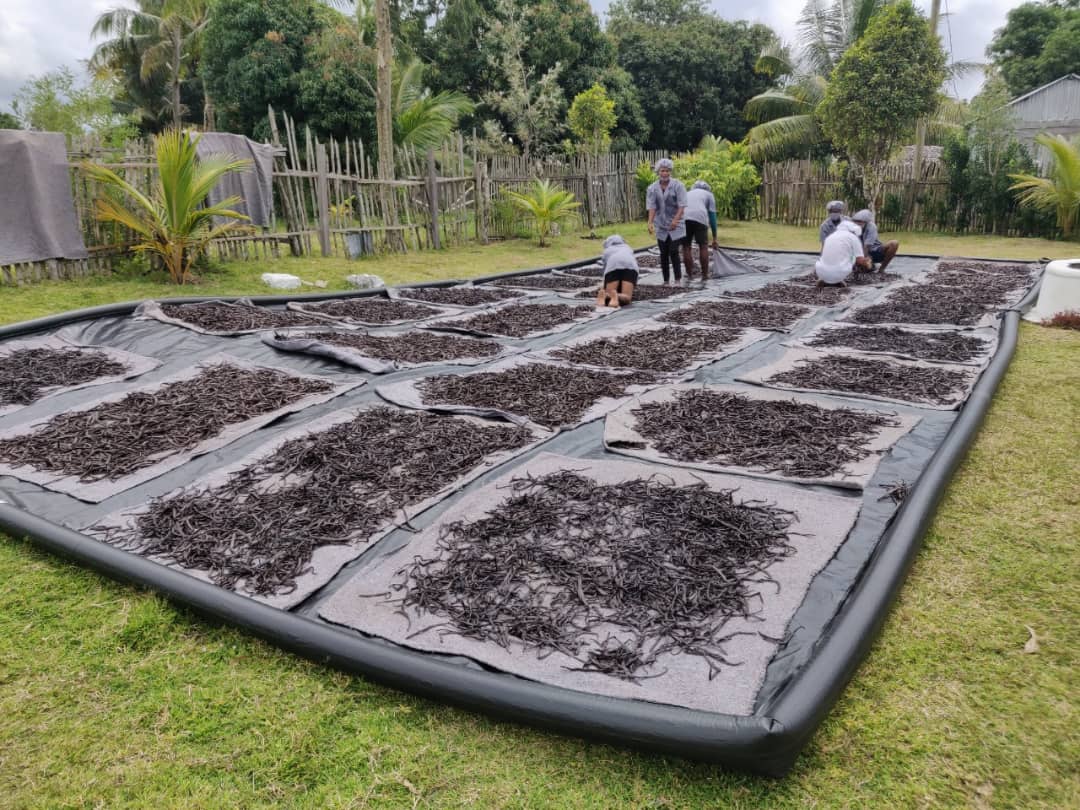 How to Use Sustainable Climate-Smart Drying Solutions