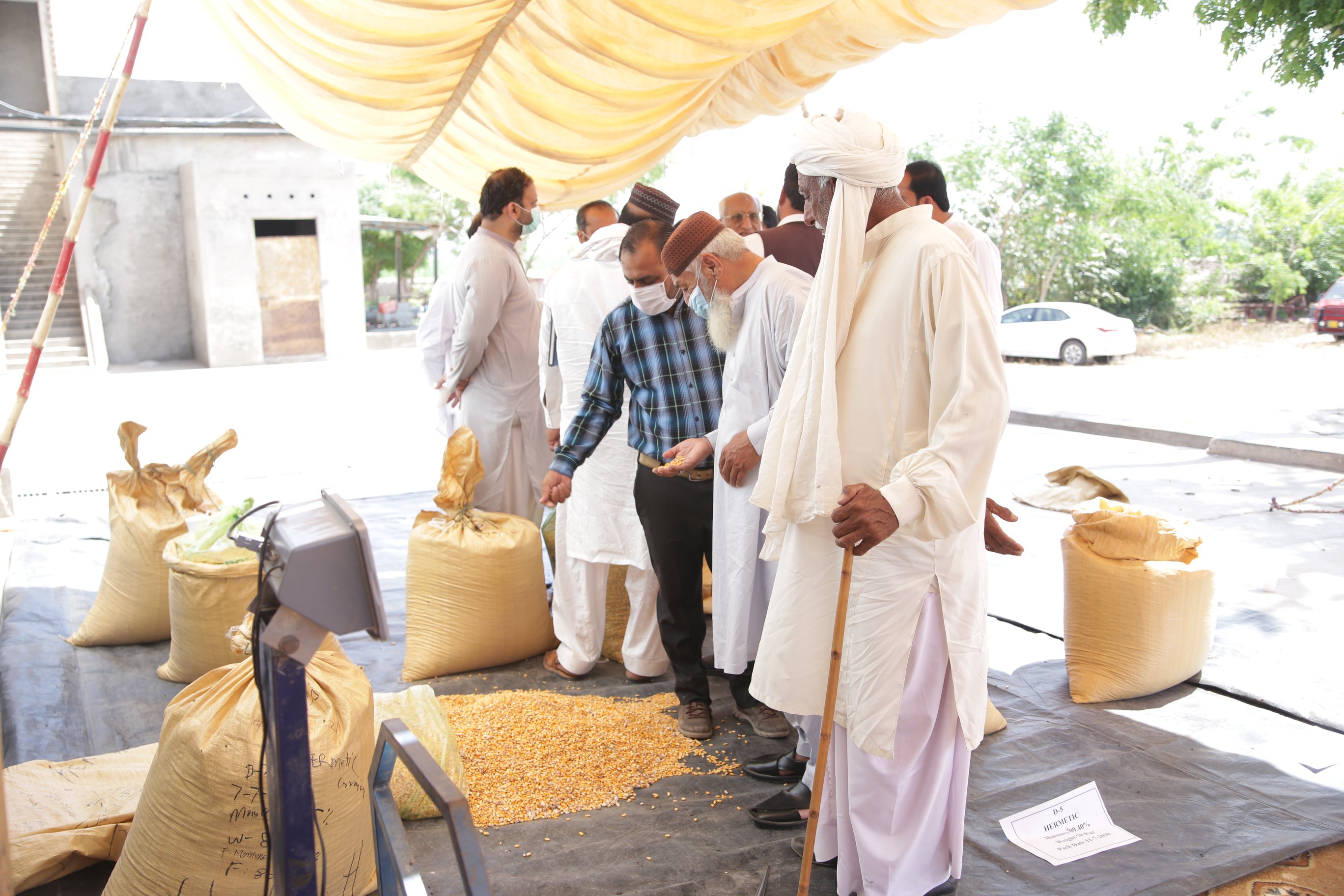 Long-term Maize Storage Increases Grain Recovery in Pakistan